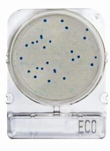 Compact Dry: Placas Cromogénicas para Detección de Microorganismos